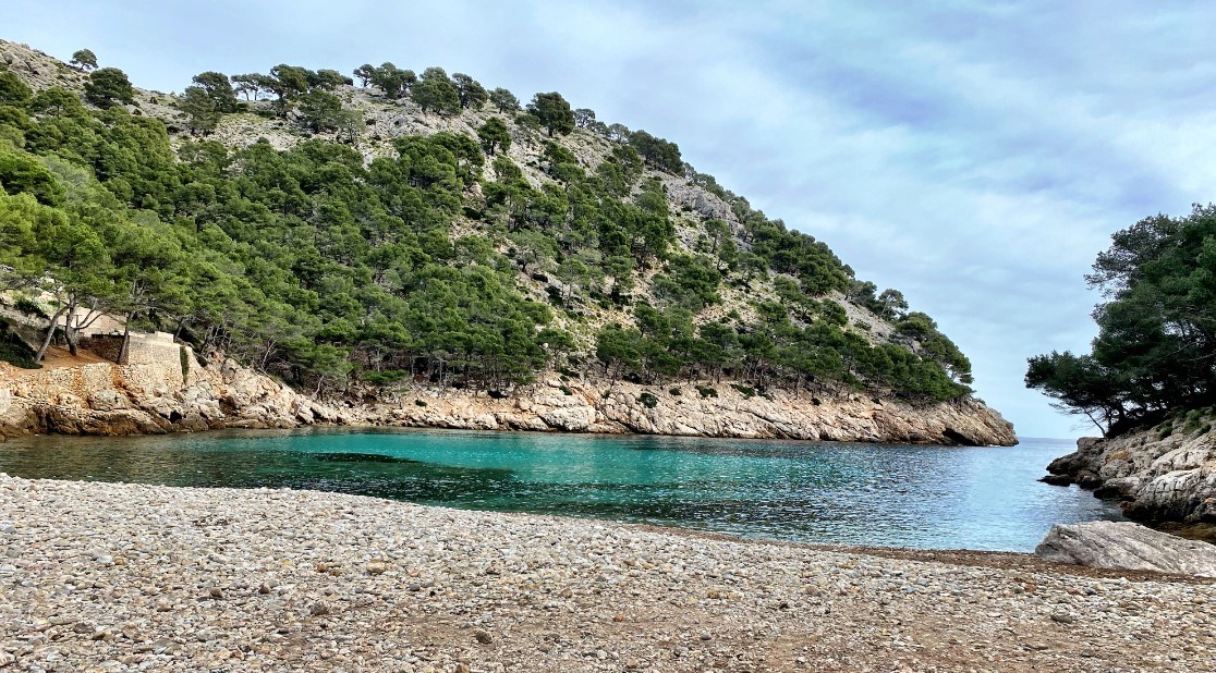 Cala Murta beach: what to do and what to see | Click-Mallorca.com