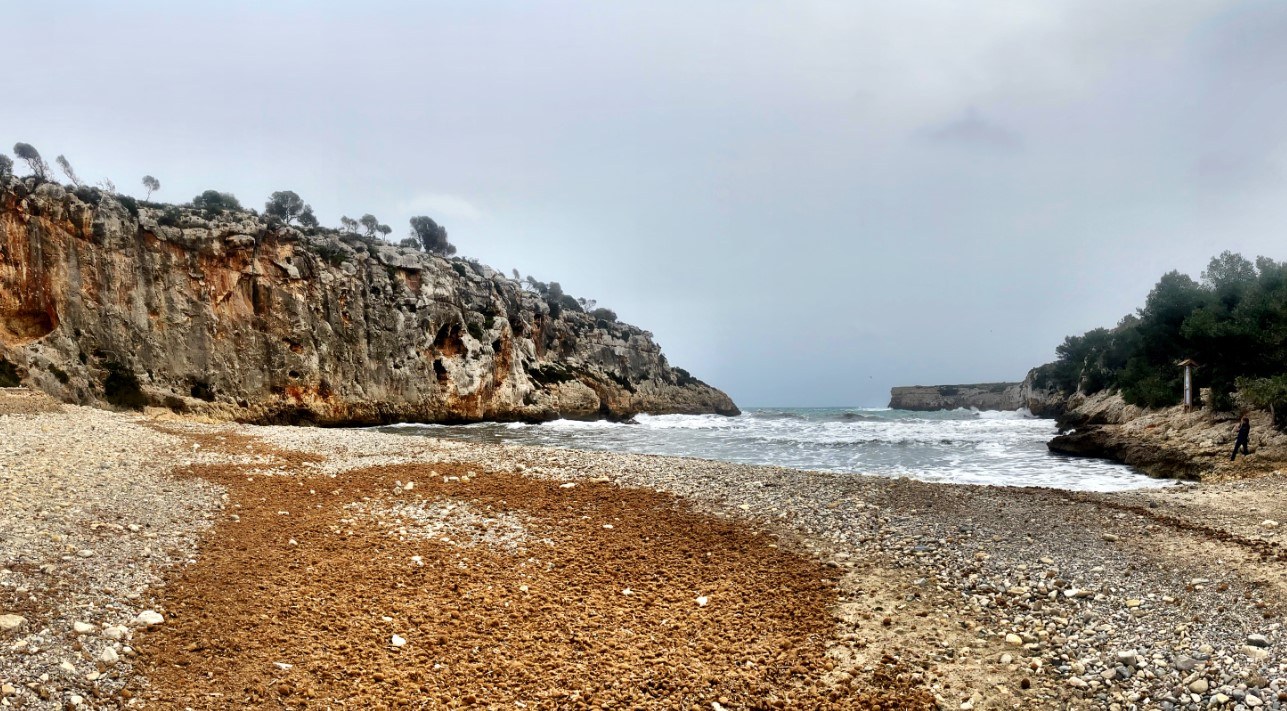 Excursión a Cala Magraner, Cala Virgili, Cala Bota y Cala Pilota