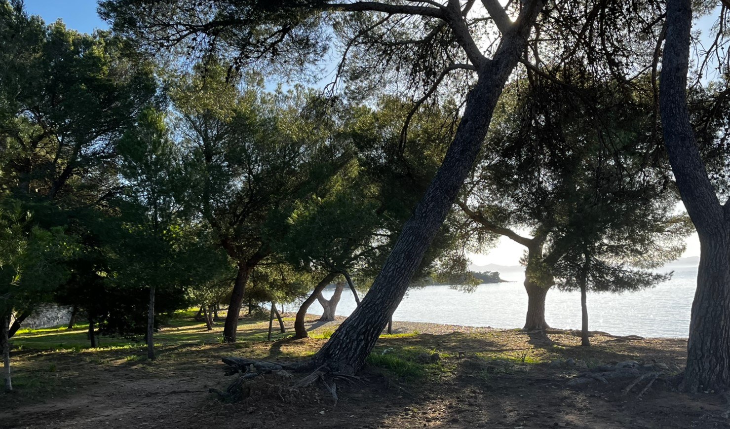 Alcanada en Mallorca: su playa, su faro y qué hacer | Click-Mallorca.com