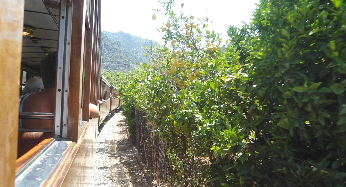 Historic Soller Train: Journey from Palma de Mallorca to Sóller | Click ...