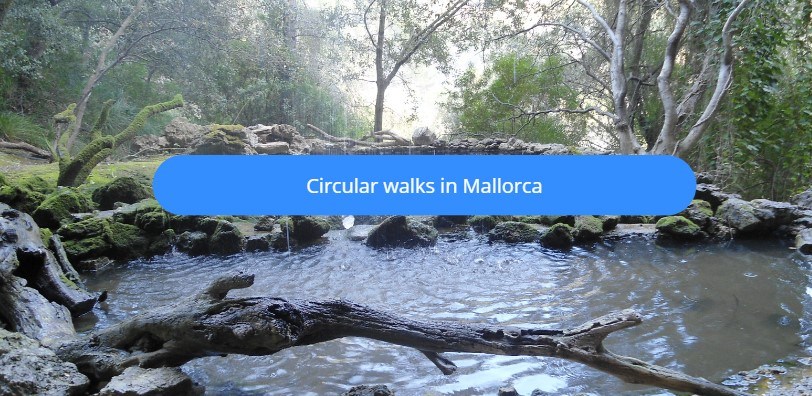 Circular Walks in Mallorca: 12 Easy Hikes | Click-Mallorca.com