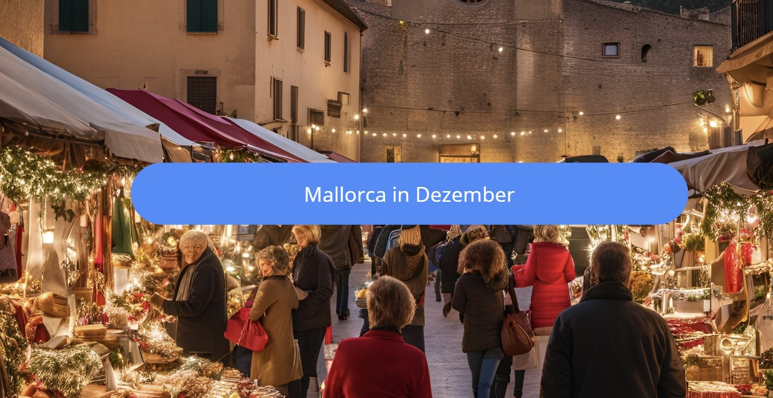 Mallorca im Dezember | Click-Mallorca
